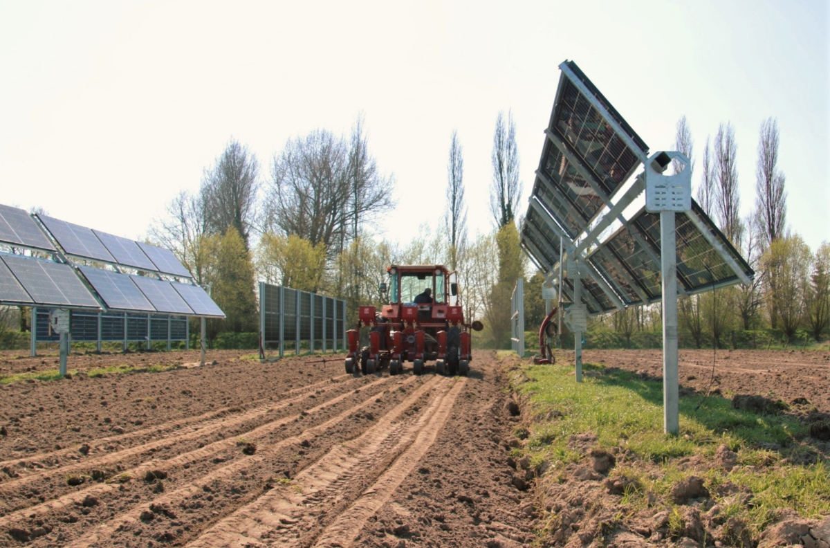 Las instalaciones agrovoltaicas con seguidores de un eje tienen un LCOE inferior a las de ...