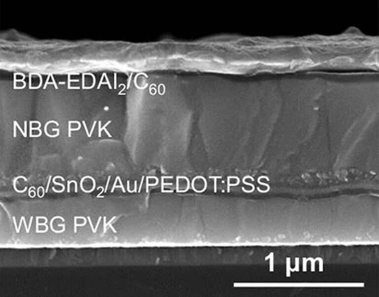 Una célula solar en tándem basada en perovskita de estaño y plomo ...