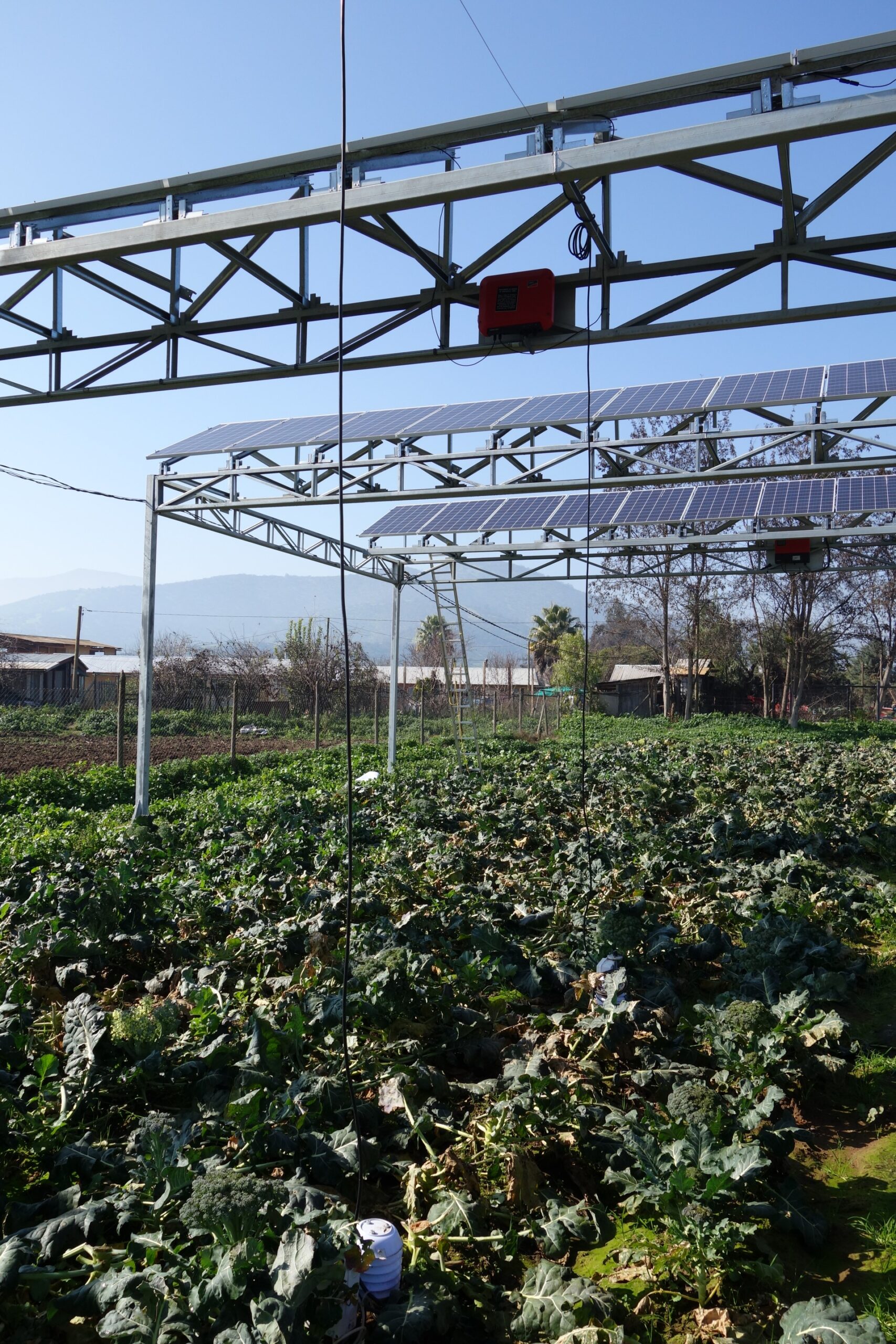 Inicia operación comercial en Chile el parque Andes Solar IV, de 211 MW ...