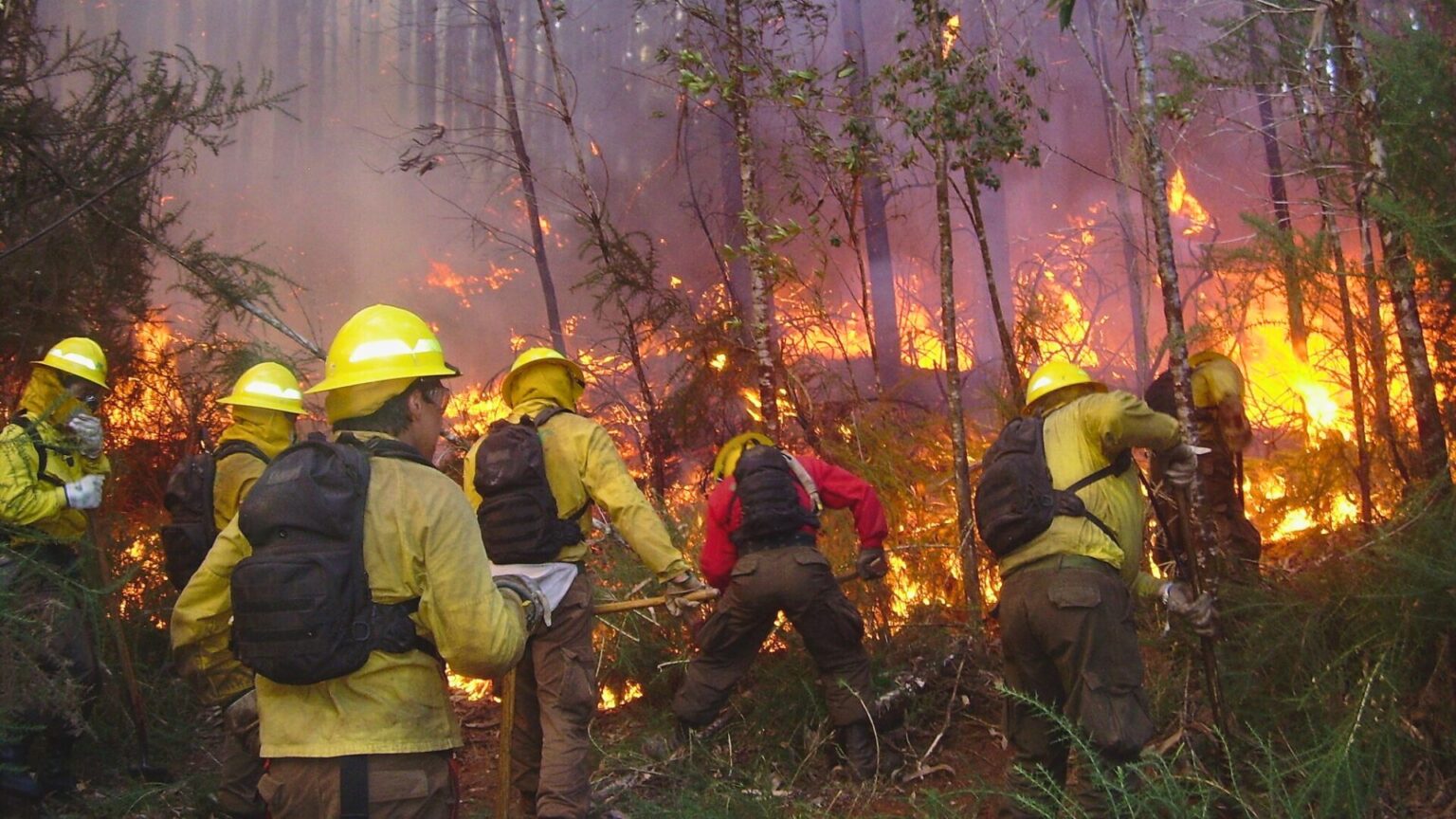Incendios forestales en el centro-sur de Chile ponen en peligro una ...